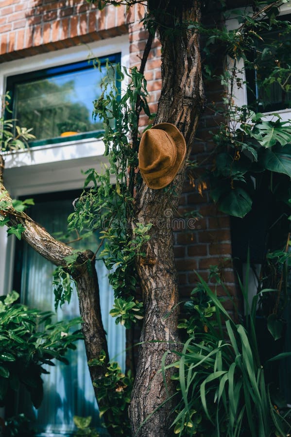 Fedora Hangs Stock Photos - Free & Royalty-Free Stock Photos from ...