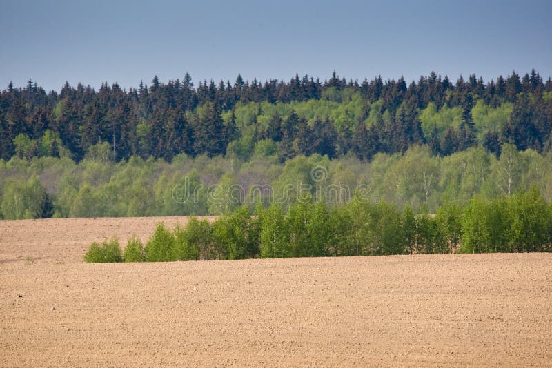 Brown Field Near Green Forest in the Country Stock Photo - Image of ...