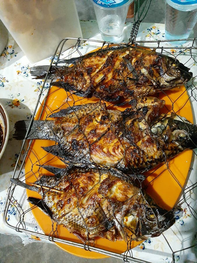 Fish Barbeque Wrapped in Thee Foil, Healthy Food. Stock Image - Image ...