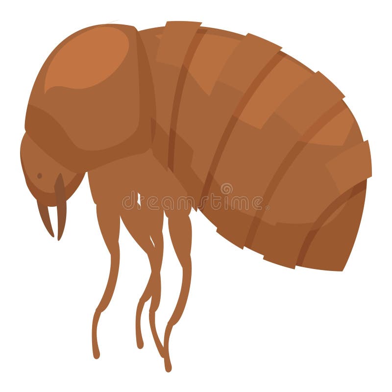 Brown Flea Insect is Crawling with Its Big Legs Stock Vector ...