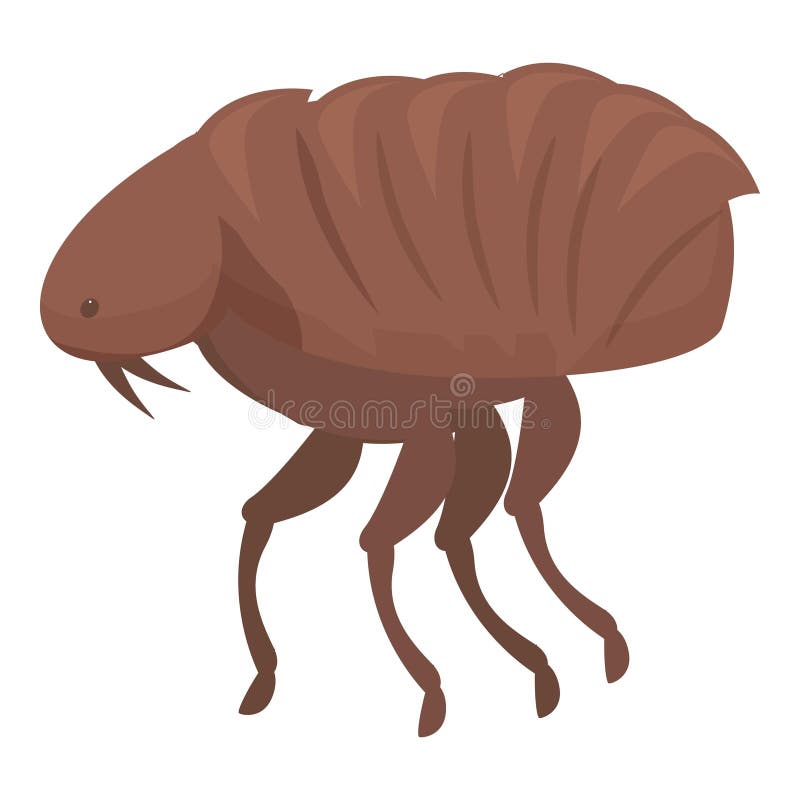 Flea Insect is Walking with Six Legs Stock Vector - Illustration of ...