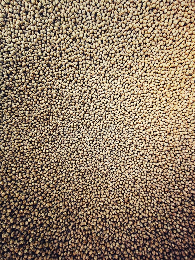 Brown Floating Tilapia Fish Feed Stock Image - Image of brown, tilapia ...