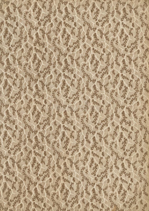 Brown Flower Pattern Picture. Image: 221377025