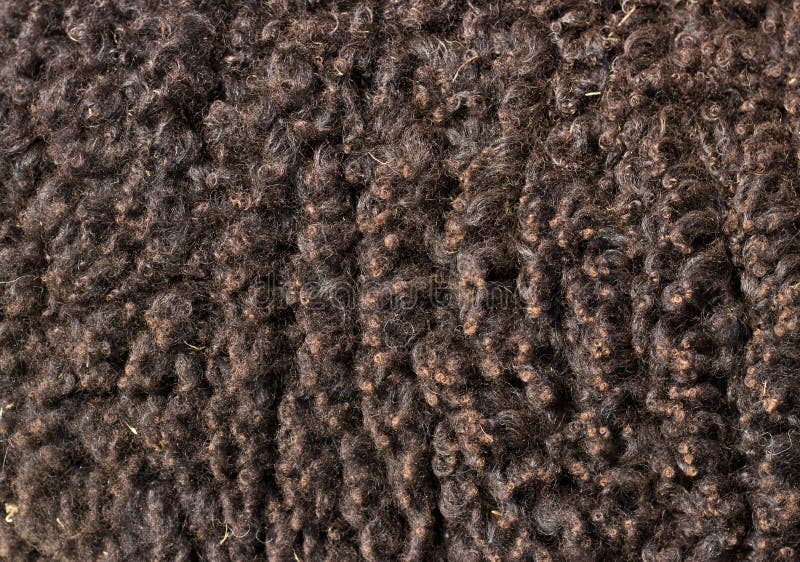 Brown Fluffy Sheep Wool Background Stock Photo - Image of lamb, brown ...