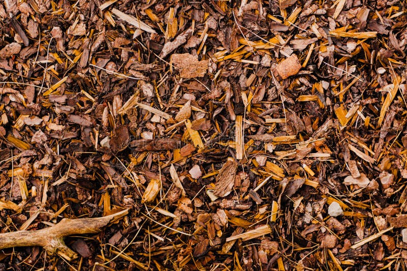 Brown Fresh Bark Mulch Texture in the Forest of the Woods Stock Photo ...