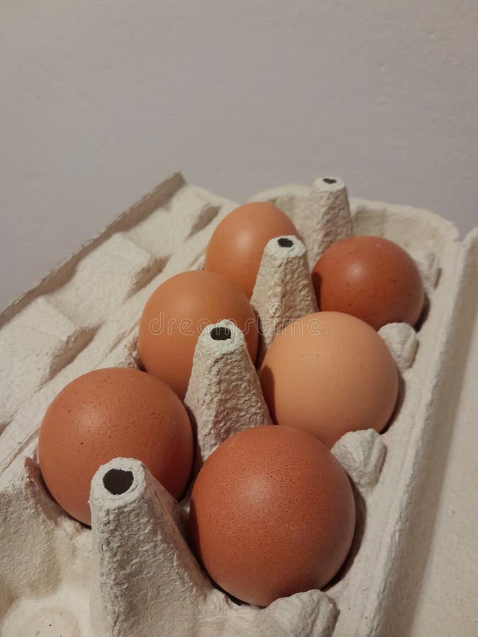 Brown Fresh Egg in Box with Blank Space. Stock Photo - Image of food ...