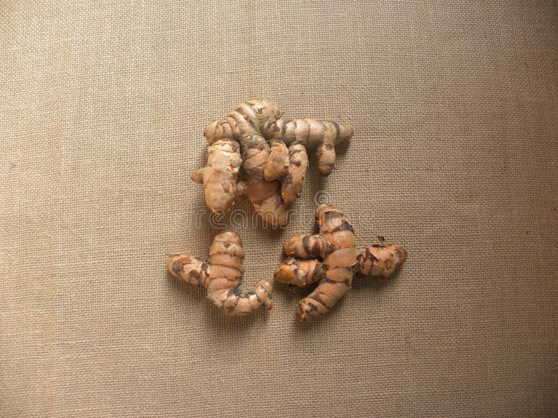 Brown fresh Turmeric roots stock photo. Image of brown - 167793068