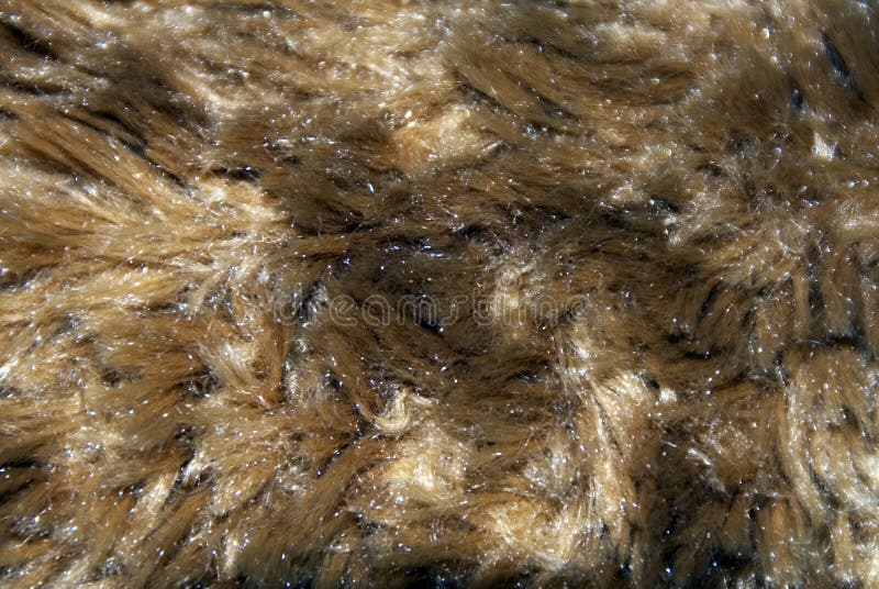 Brown fur stock image. Image of brown, fuzzy, exotic, black - 4920269