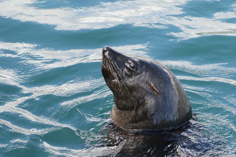 171 Covered Most Body Stock Photos - Free & Royalty-Free Stock Photos ...