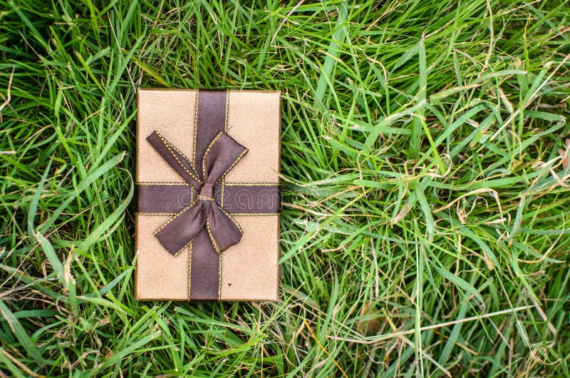 Brown Gift Box on Green Grass Outdoor. Stock Image - Image of space ...