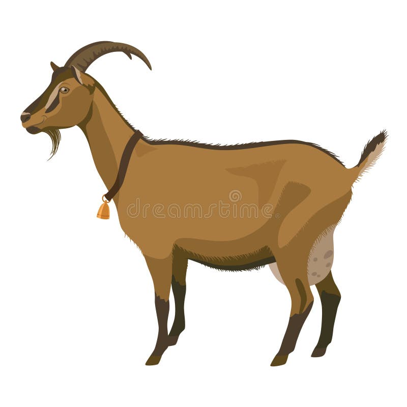 Brown Goat, Side View, Isolated Stock Vector - Illustration of design ...