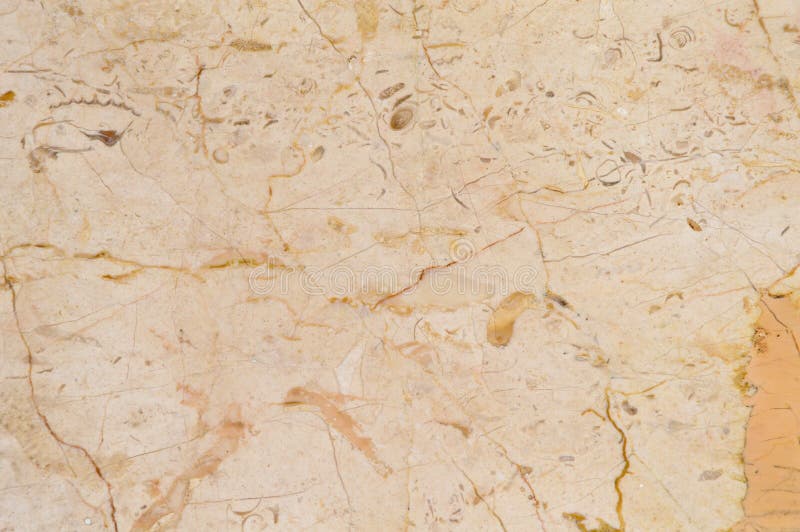 Brown and Gold Marble Texture Stock Image - Image of bath, closeup ...