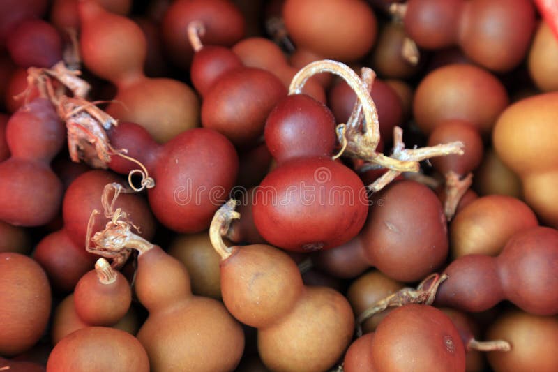 Brown Gourd is Stacked Together Stock Image - Image of rare, variety ...