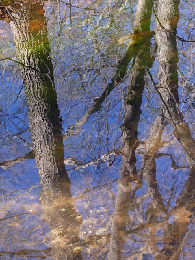 Reflections in Moving Water, a Shallow Stream with Trees Reflected in ...