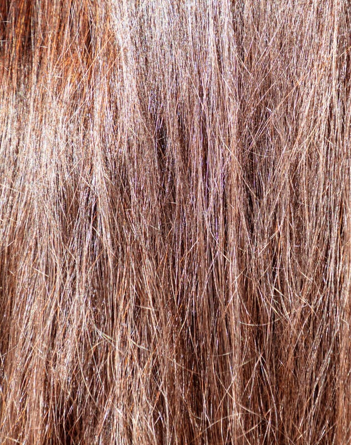 Brown Hair As an Abstract Background. Texture Stock Image - Image of ...