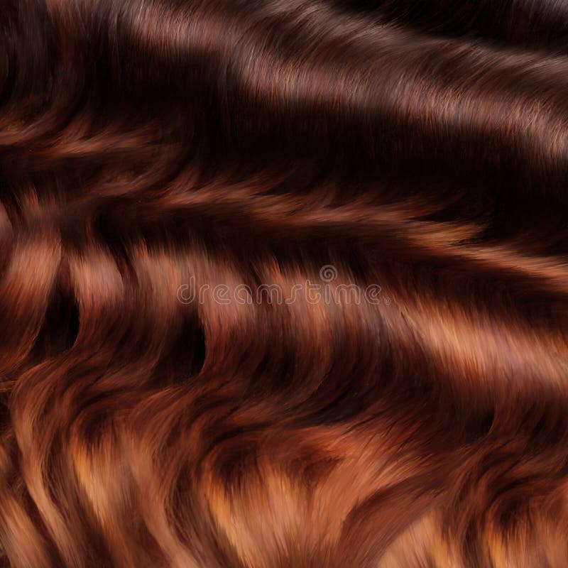 Brown Curly Hair Texture. High Quality Image Stock Image - Image of ...