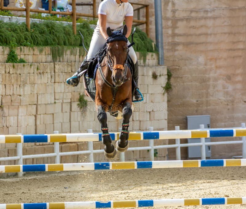 Jumping Obstacle in Competition Equestrian Sport, Indoor Jumping Arena ...