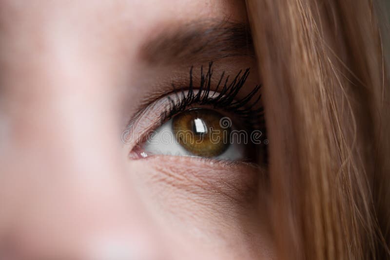 Brown Human Eye Extreme Closeup in Low Light Technique. Stock Photo ...