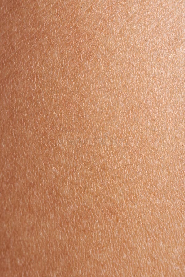 Brown human skin stock photo. Image of pink, human, freckled - 84142730