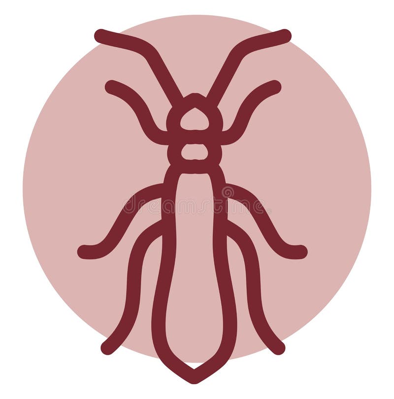 Brown insect bug, icon stock vector. Illustration of vector - 258926518