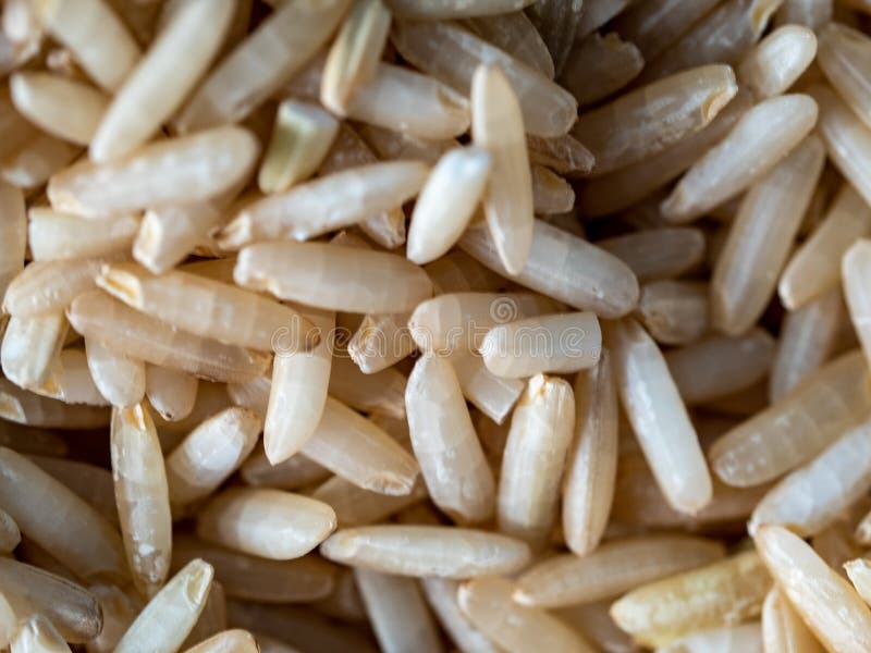 Brown Jasmine Rice Grains Closeup Stock Image - Image of jasmine, thai ...