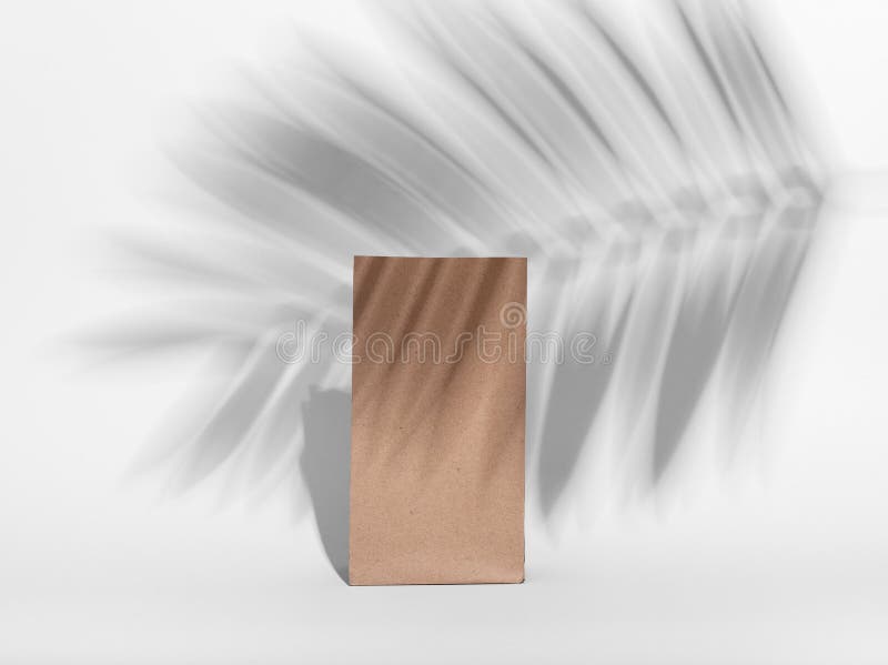 Brown Kraft Paper Bag Mockup. Craft Pouch, Vertical Packet Stock Image ...