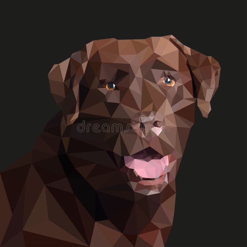 Brown Labrador in the Style of Low-poly. Vector Illustration Stock ...