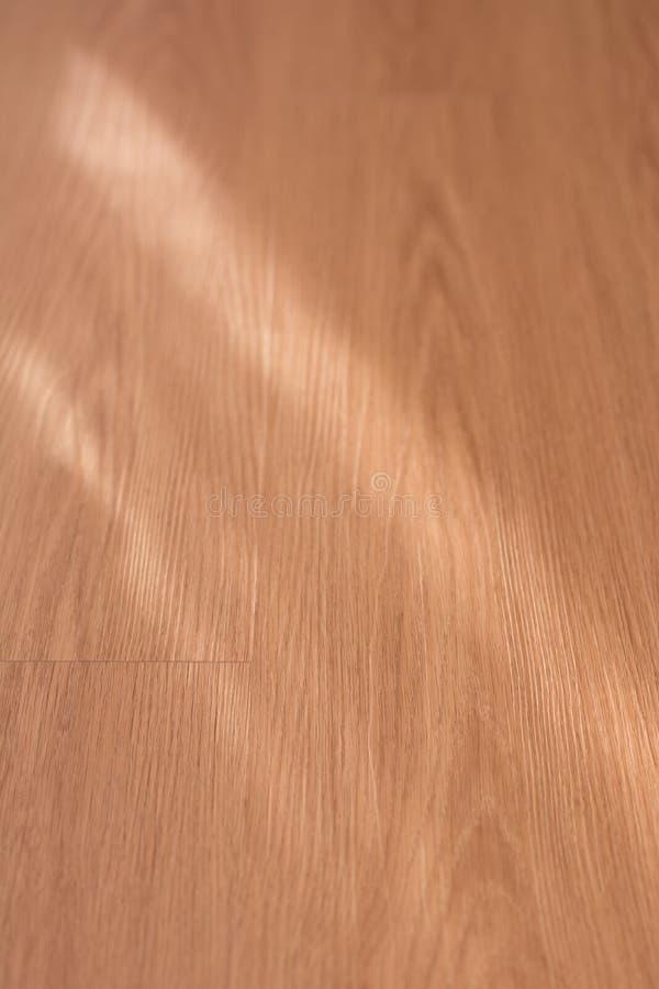 Brown Laminate Floor on Natural Light Stock Photo - Image of copy ...