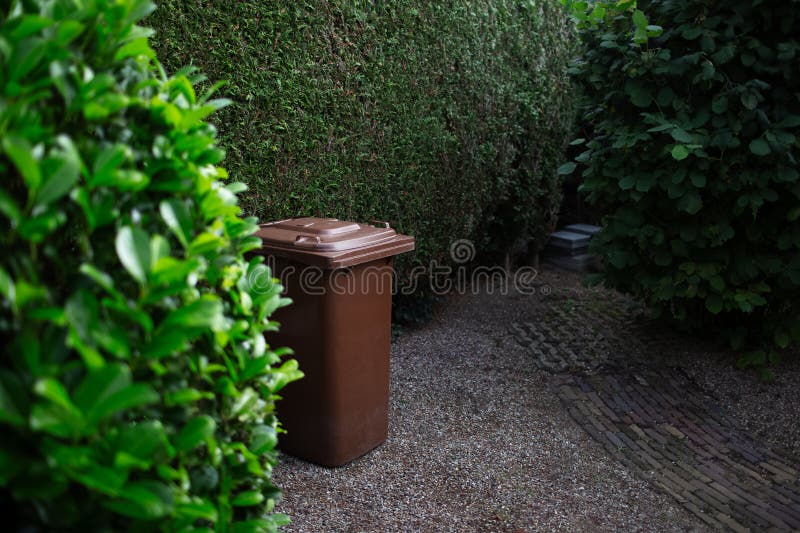 Brown Large Plastic Bin for Trash on Backyard, Around of Tree Hedge ...