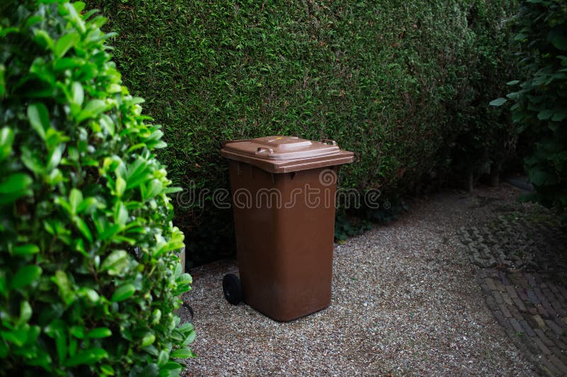 Brown Large Plastic Bin for Trash on Backyard, Around of Tree Hedge ...