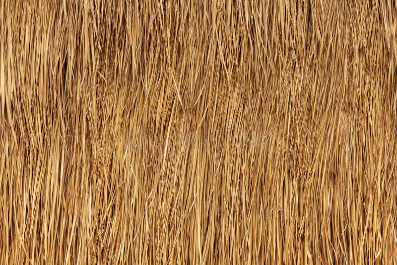 Leaf Wall Pattern and Background Seamless Stock Image - Image of ...