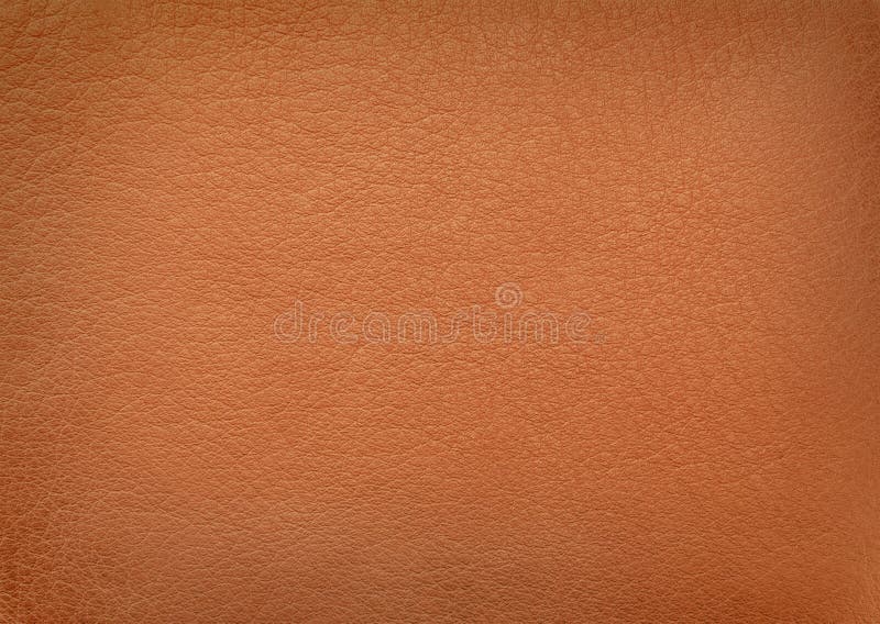 Leather stock photo. Image of rawhide, macro, texture - 6005952