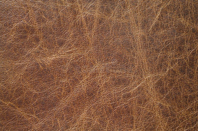 Birch tree bark texture stock photo. Image of detail - 44799874