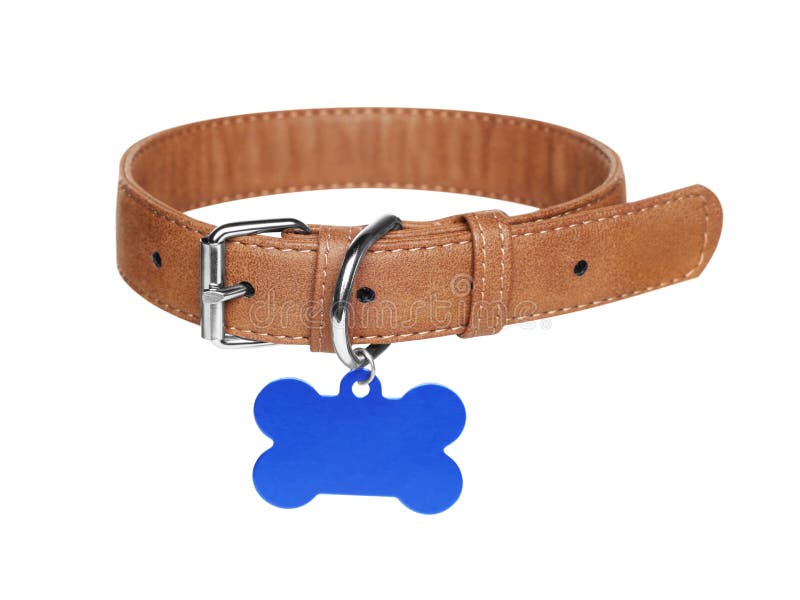 Brown Leather Dog Collar with Bone Shaped Tag Isolated on White Stock ...