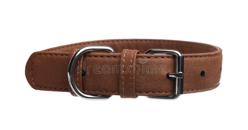 Brown Leather Dog Collar Isolated on White Stock Photo - Image of ...