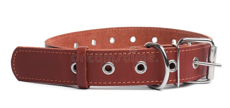 Brown Leather Dog Collar Isolated on White Stock Photo - Image of ...