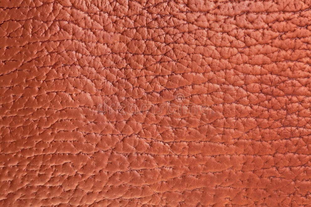 Brown leather pattern. stock image. Image of surface - 14324843