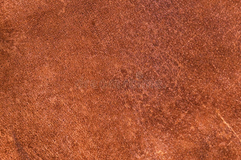 Leather surface stock photo. Image of close, pattern - 14977224