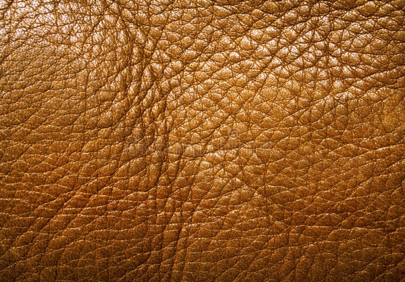 Brown leather texture stock image. Image of abstract - 167289019