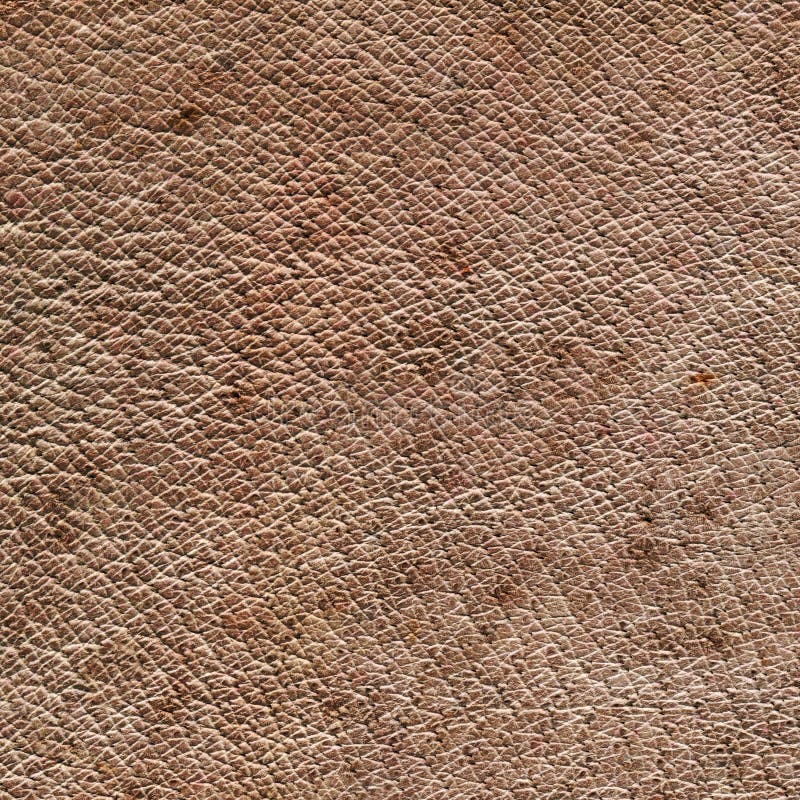 Brown leather texture stock photo. Image of pattern, antique - 30204814