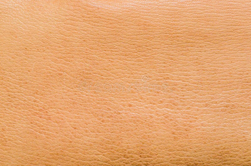 342 Stretched Leather Stock Photos - Free & Royalty-Free Stock Photos ...