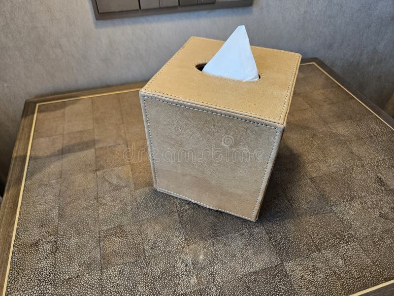 Brown Leather Tissue Box stock image. Image of desk - 287558573