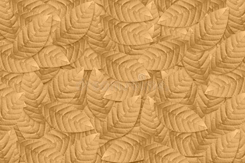 Brown leaves pattern stock image. Image of foliage, template - 64056825