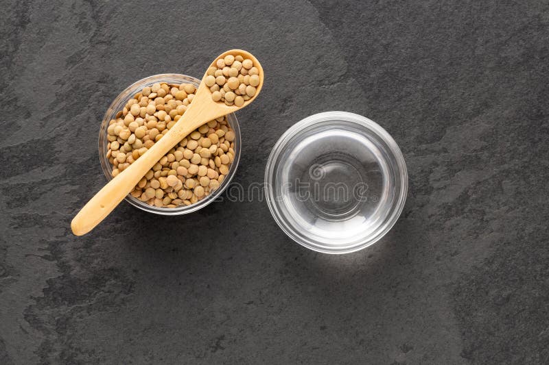 Brown Lentils and Water in the Bowl - Lens Culinaris Stock Image ...