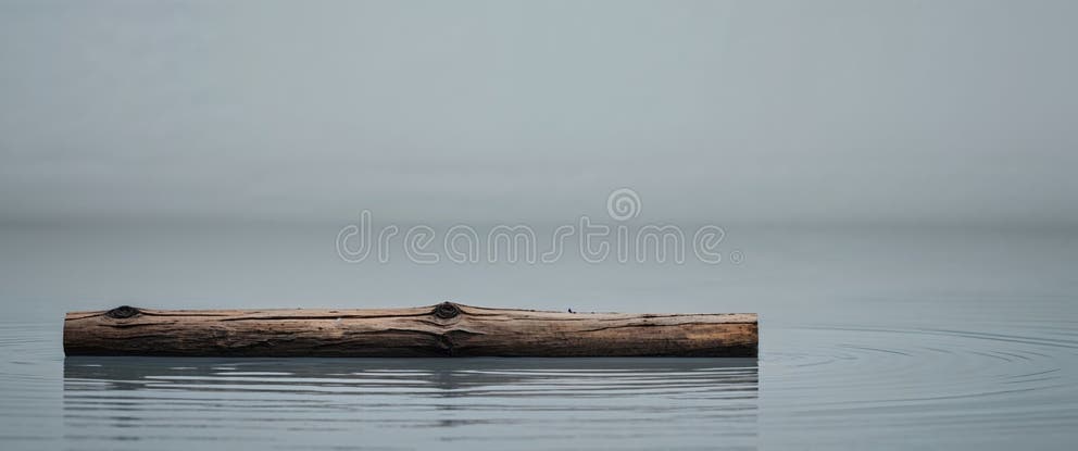 Brown Log Floating on Calm Grey Blue Water. Stock Photo - Image of ...