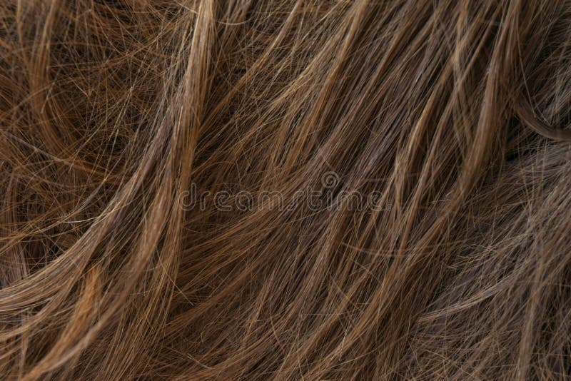 Texture dry hair stock photo. Image of yellow, blond - 154211114