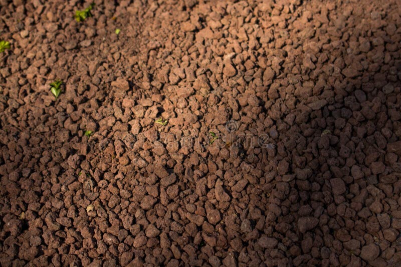 Brown lumpy soil stock photo. Image of lumpy, agriculture - 71489276