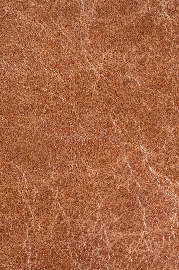 Brown Luxury Leather Samples Close-up. Can Be Used As Background Stock ...