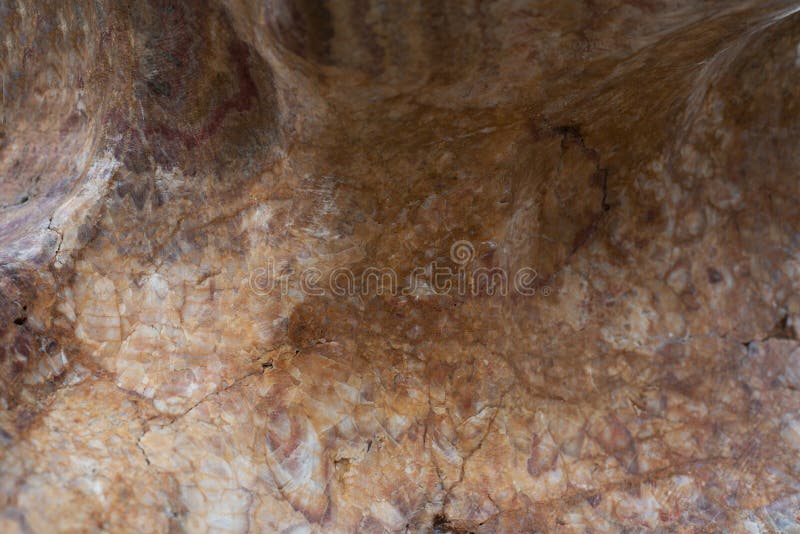 Canyon Sandstone Seamless Texture Stock Photos - Free & Royalty-Free ...