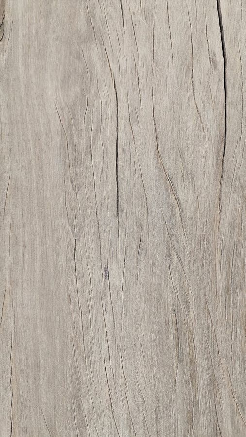 Brown matte wood texture stock photo. Image of brown - 266897766